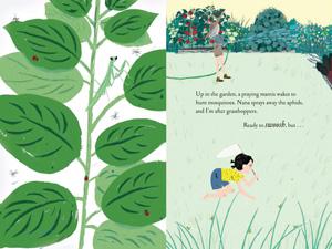 Up in the Garden and Down in the Dirt | Chronicle Books