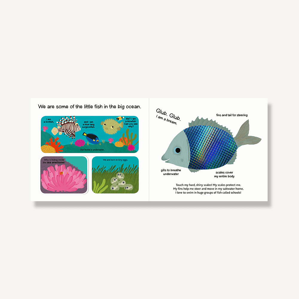 The Ocean – Chronicle Books