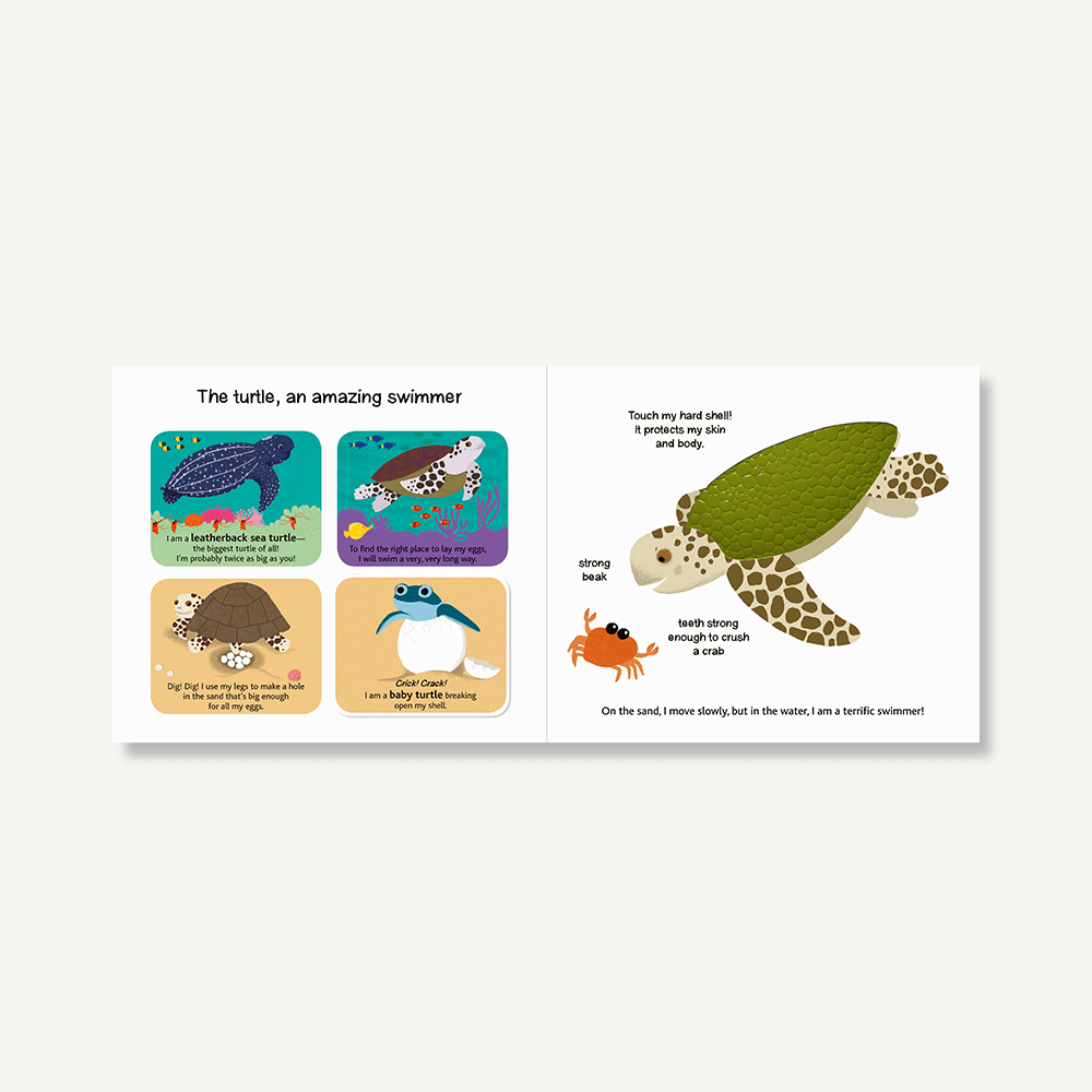 The Ocean – Chronicle Books