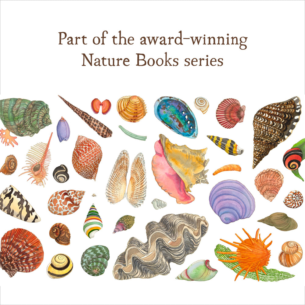 A Shell Is Cozy – Chronicle Books