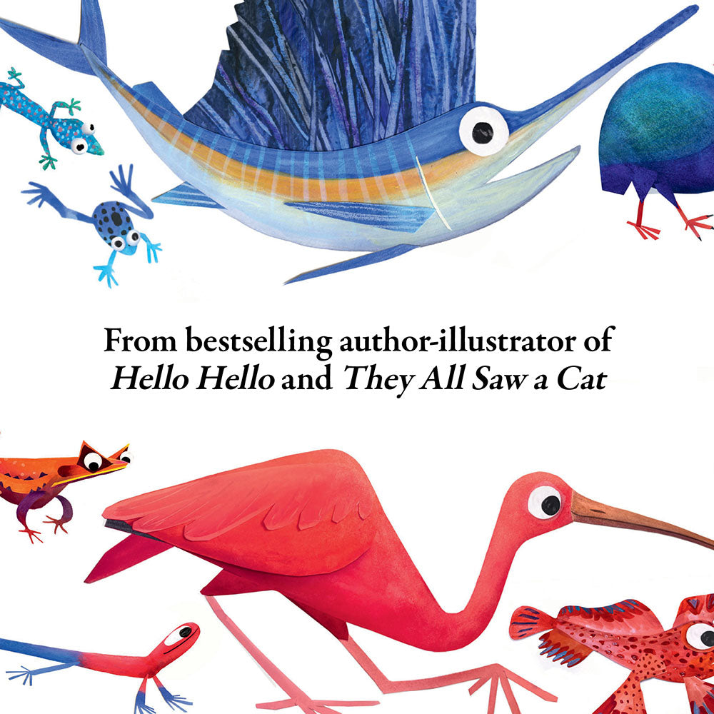 Hello Hello Colors – Chronicle Books