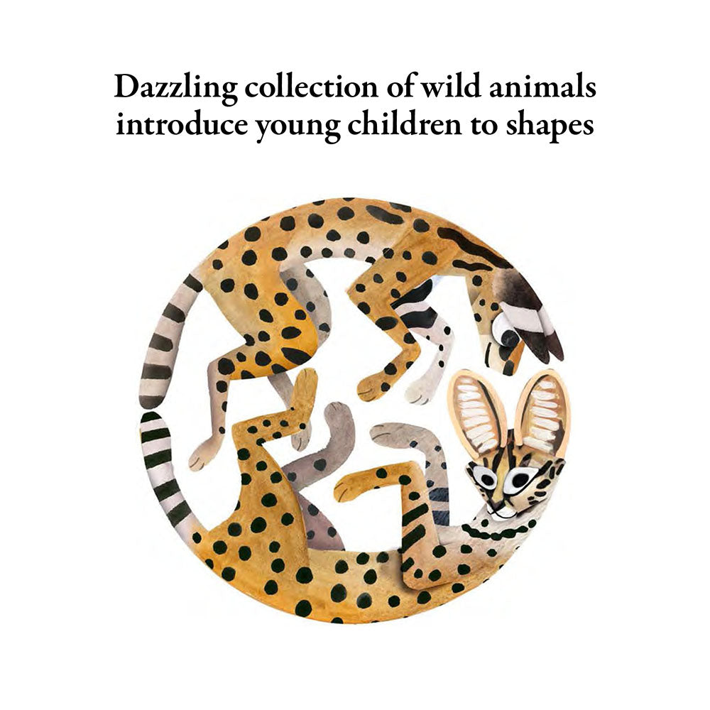 Hello Hello Shapes – Chronicle Books