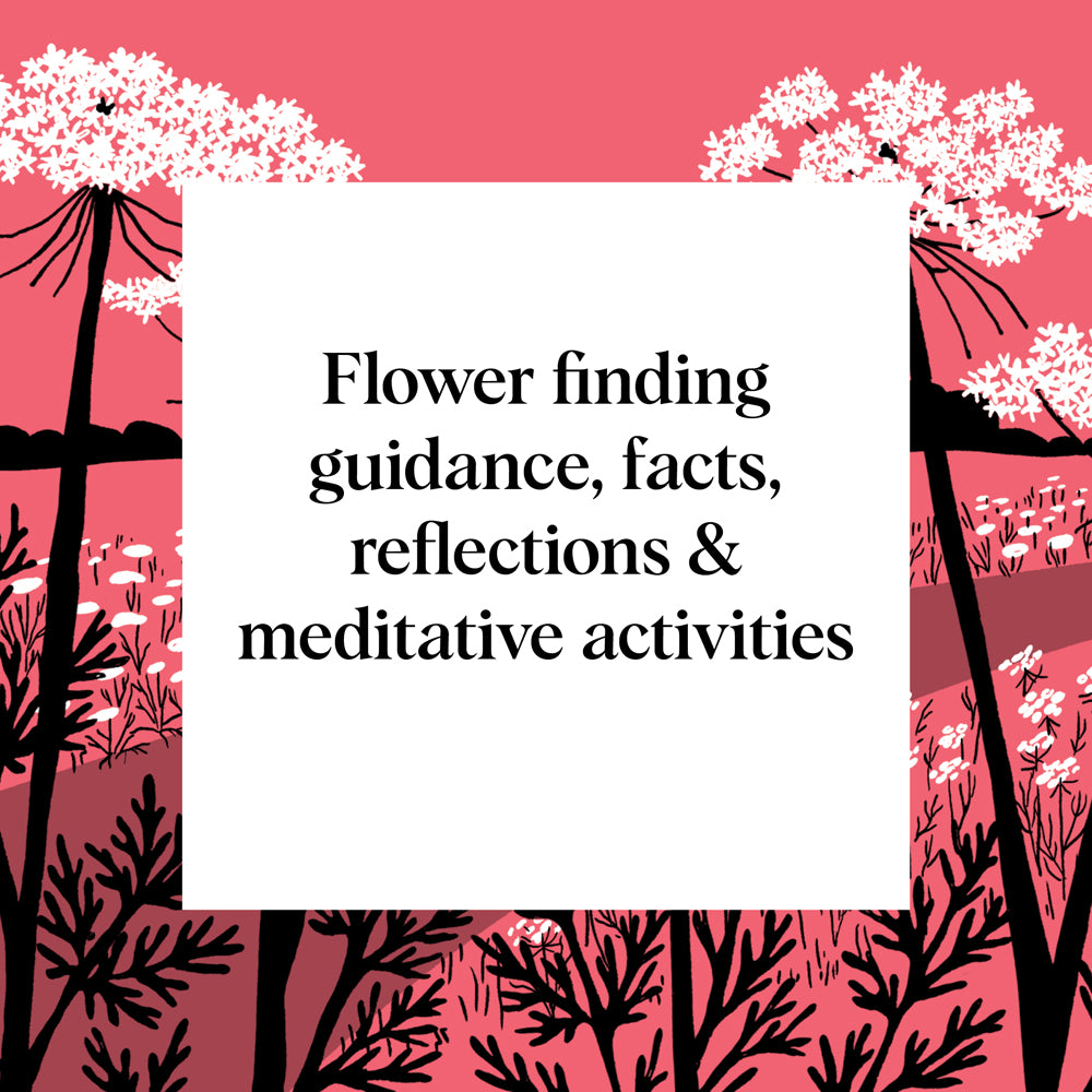 Pocket Nature: Flower Finding – Chronicle Books