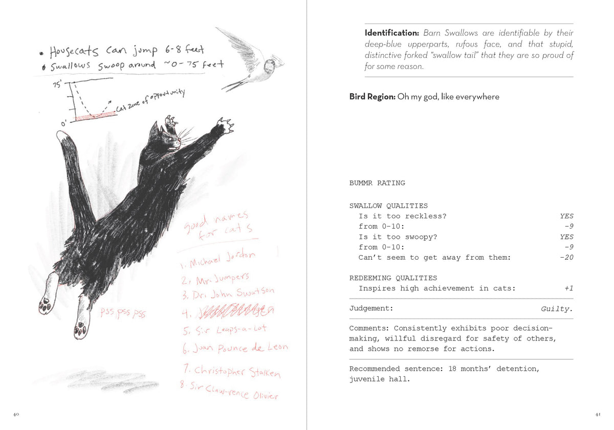 Dumb Birds Field Guide to the Worst Birds Ever – Chronicle Books