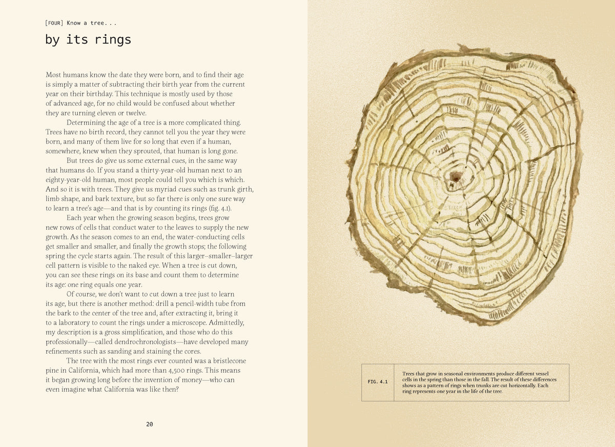 Forty Ways to Know a Tree – Chronicle Books