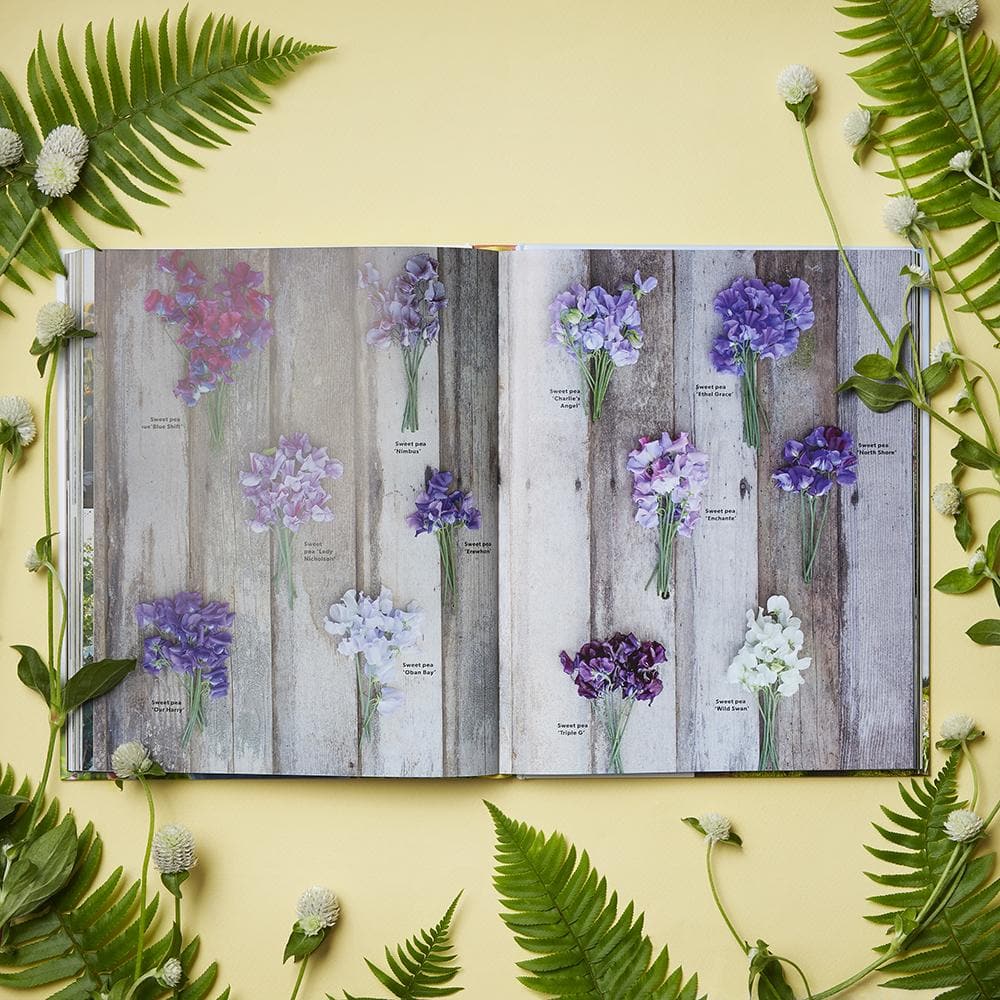 Floret Farm’s A Year in Flowers | Chronicle Books