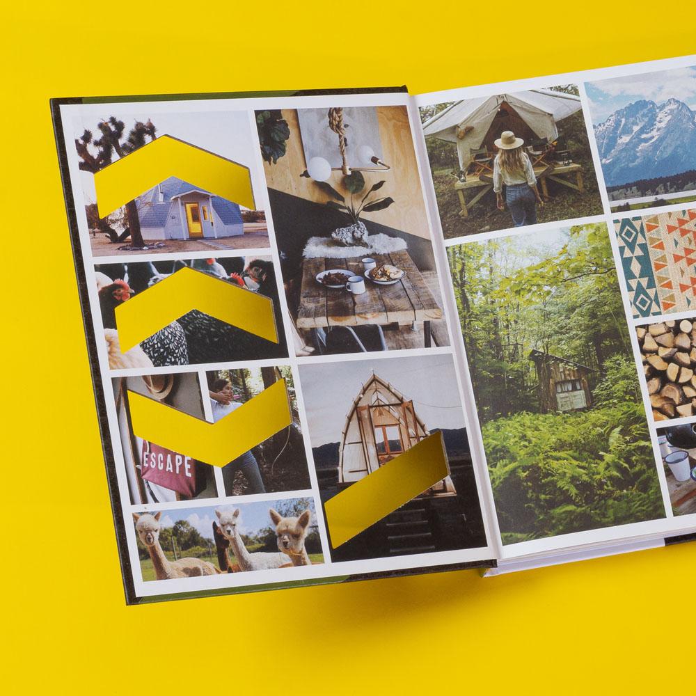 FARM + LAND'S Back to the Land | Chronicle Books