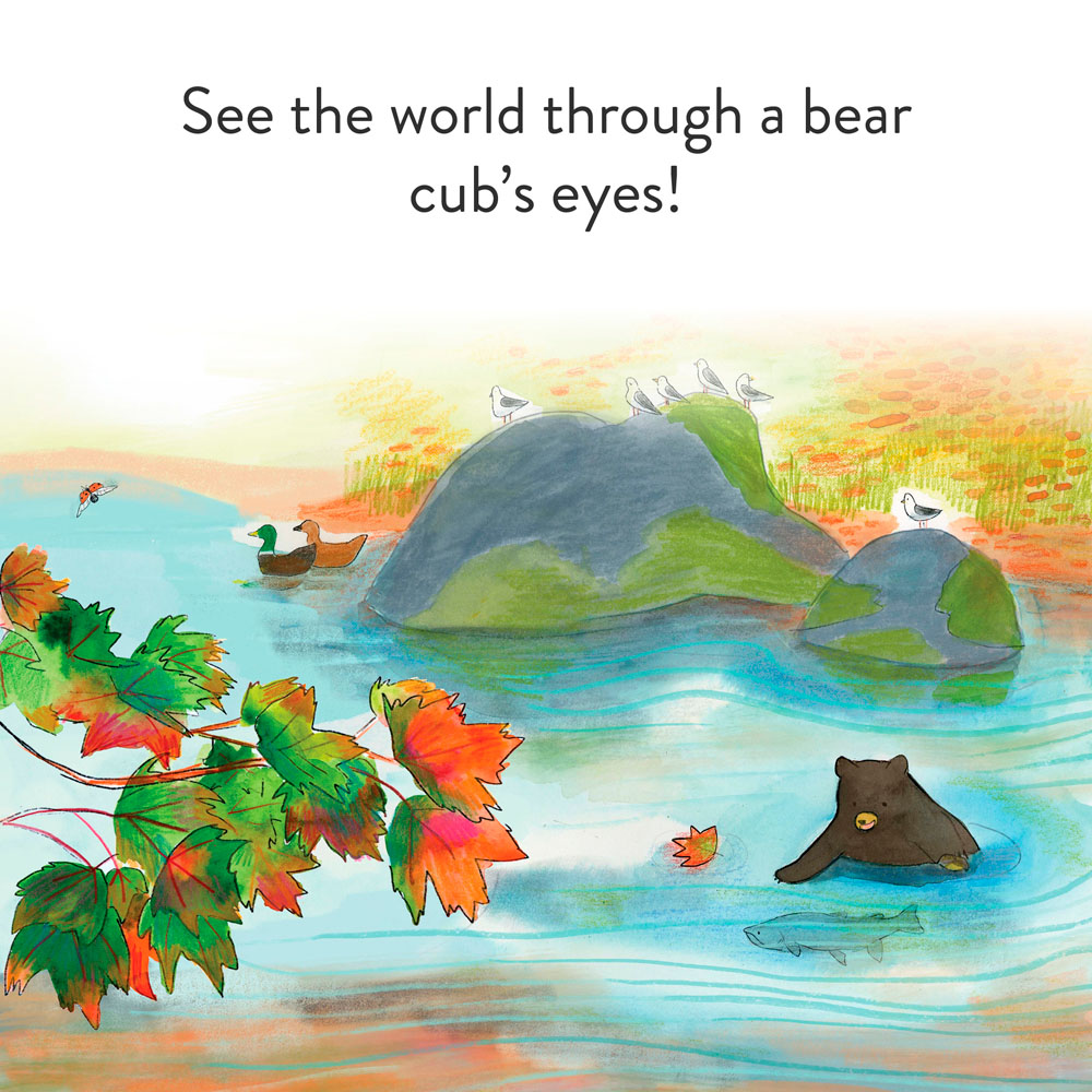 A Cub Story | Chronicle Books