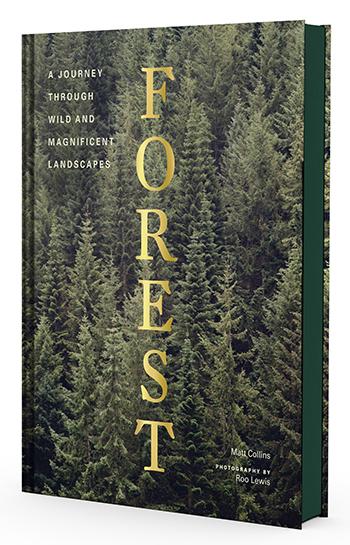 Forest | Chronicle Books