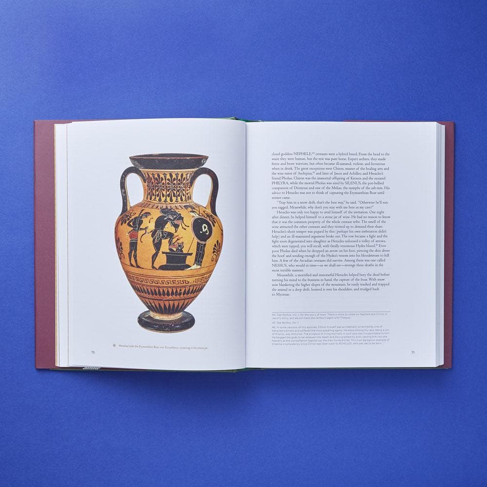 Heroes | Chronicle Books