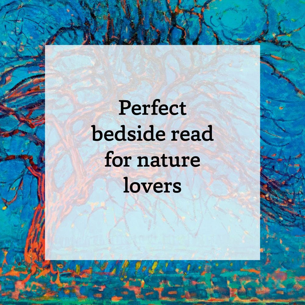 A Tree a Day | Chronicle Books
