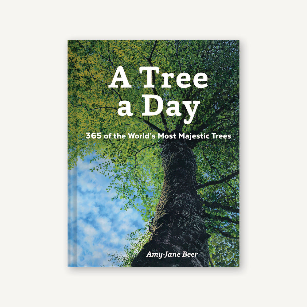 A Tree a Day | Chronicle Books