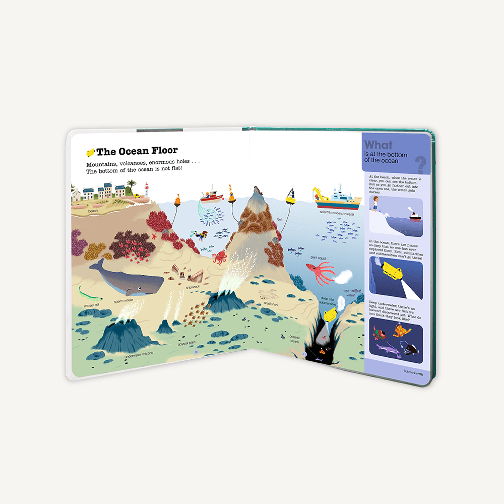 Do You Know?: Oceans and Marine Life | Chronicle Books