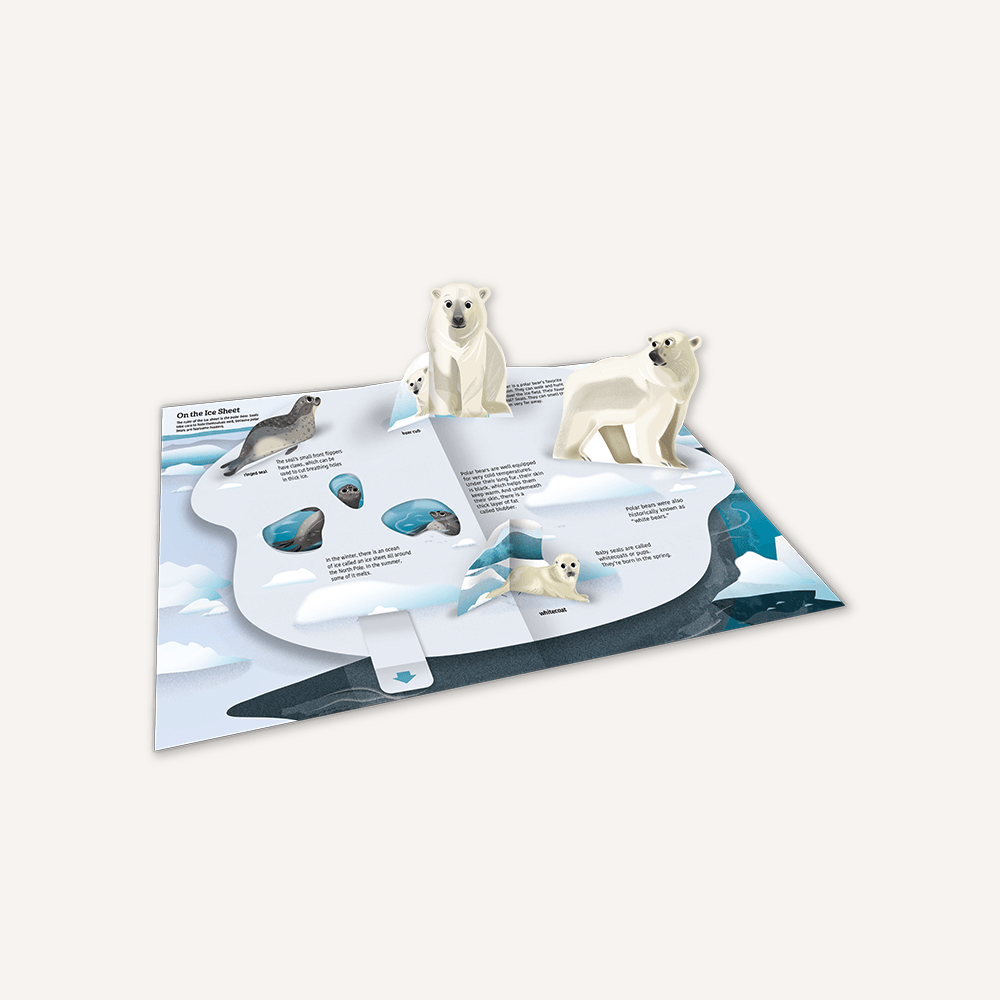 Ultimate Spotlight: Polar Animals | Chronicle Books